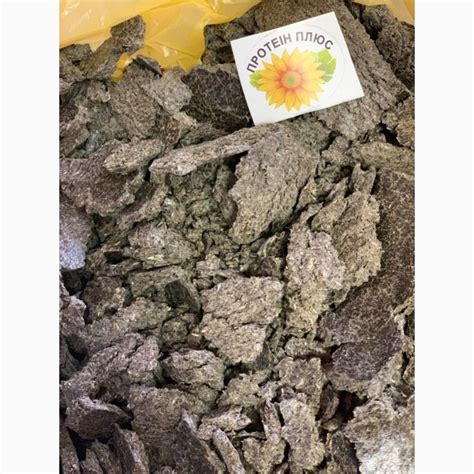 Продам макуха подсолнечная, купить макуха подсолнечная ...