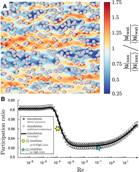 Frontiers Localization In Flow Of Non Newtonian Fluids Through Disordered Porous Media