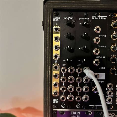 Beepboop Buffered Active Multiple Eurorack Modular Synth Reverb