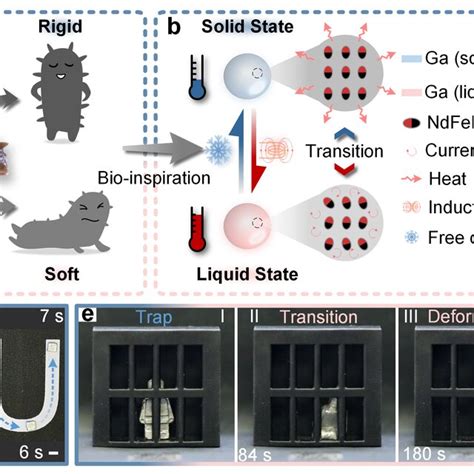 Schematic And Applications Of The Liquid Solid Phase Transition Of Download Scientific Diagram