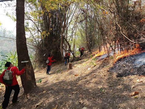 วั ศูนย์ศึกษาการพัฒนาห้วยฮ่องไคร้อันเนื่องมาจากพระราชดำริ