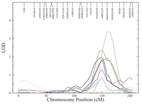 Multipoint Lod Plot For The Factors And Individual Traits On Chromosome Download Scientific