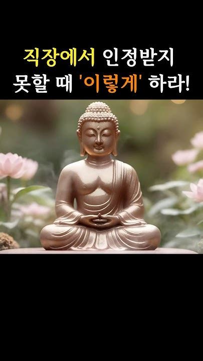 직장에서 인정받지 못할때 ‘이렇게하라 불교방송 불교공부 자기수행 명언 자기수행 부처님말씀 인생조언 좋은글 지혜 Youtube