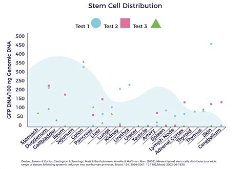 Biodistribution Of Adult Stem Cells Ambrose Cell Therapy