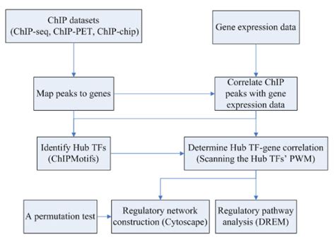 A Summary Of The Computational Analytical Approach Download