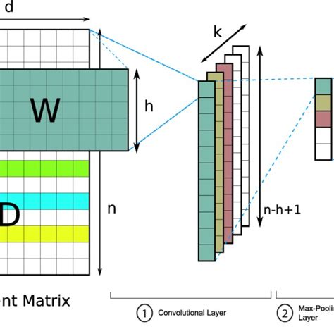 Network Architecture Of The RC Model Adapted From Tran And Kavuluru Download Scientific