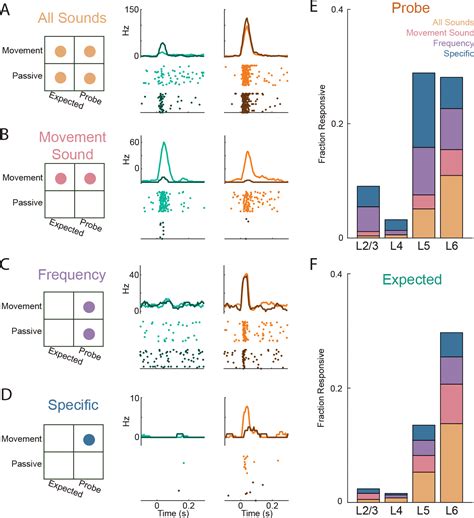 precise movement based predictions in the mouse auditory cortex pmc