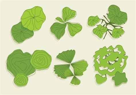 Tree Top View Vector Art Icons And Graphics For Free Download