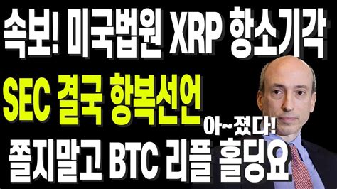 비트코인 리플 도지코인 이더리움 속보 미국법원 Xrp 항소기각 Sec 결국 항복선언 쫄지말고 Btc 리플 홀딩요 Youtube