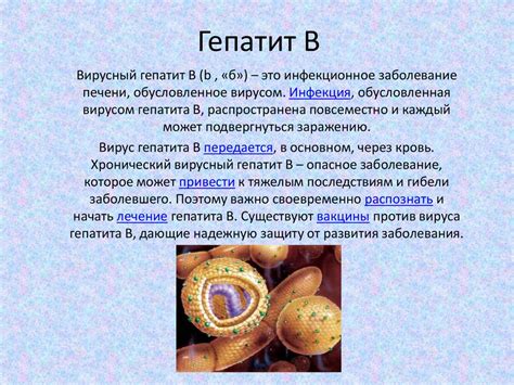 Гепатит B - презентация онлайн