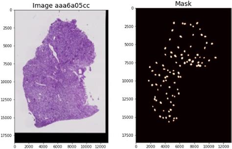 Mask Image Obtained From The Proposed Model Download Scientific Diagram