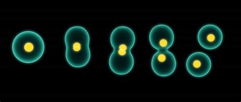 Insight Into The Inheritance Of Epigenetic Marks What Is Epigenetics