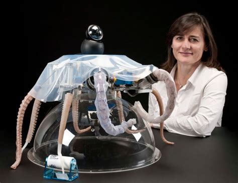 Soft Robotics Examples Research And Applications Robotics24 Blog