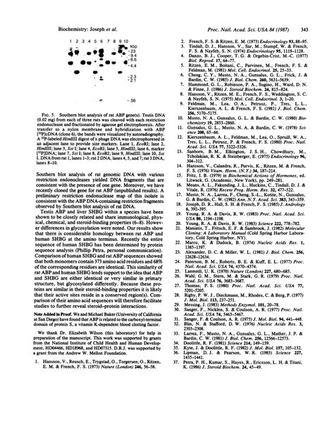 Rat Androgen Binding Protein Evidence For Identical Subunits And Amino Acid Sequence Homology