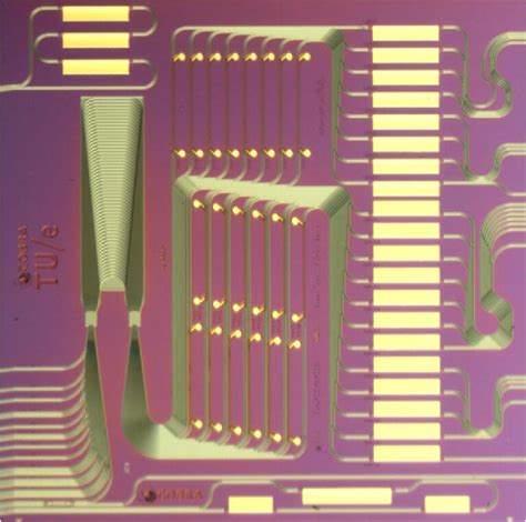 Figure 1 From Calibration Of An Inp Based Monolithically Integrated Optical Pulse Shaper