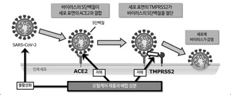 화장품 뷰티 전문 미디어 코스인코리아닷컴