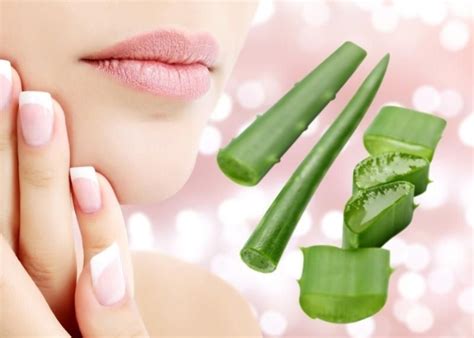 Học Cách Dưỡng Môi Bằng Nha đam Căng Hồng Hiệu Quả