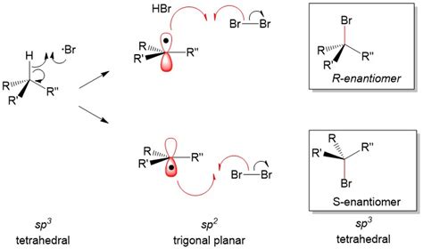 Free Radical Halogenation