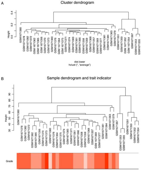 Samples Clustering To Detect Outliers Gse68417 A Cluster