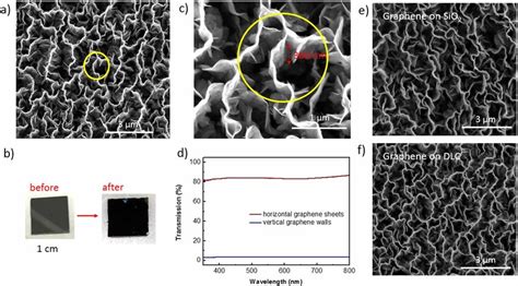 A Sem Image Of The Sample Surface With Full Coverage Of Graphene Download Scientific Diagram