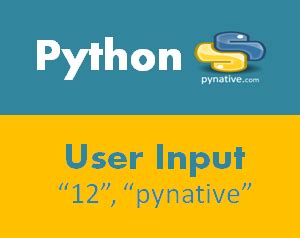 Python Check User Input Is A Number Or String Accept Numbers As Input
