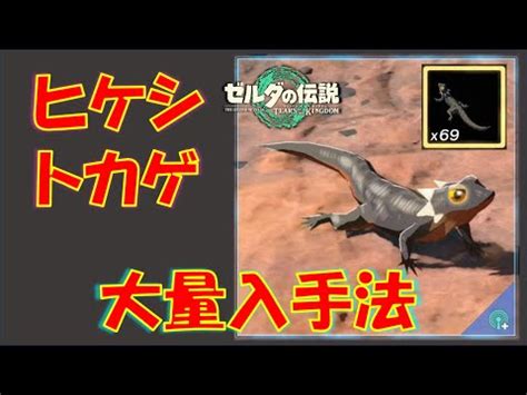 【ブレワイ】燃えず薬のレシピ、効果、入手方法まとめ【ゼルダの伝説 ブレスオブザワイルド】 攻略大百科