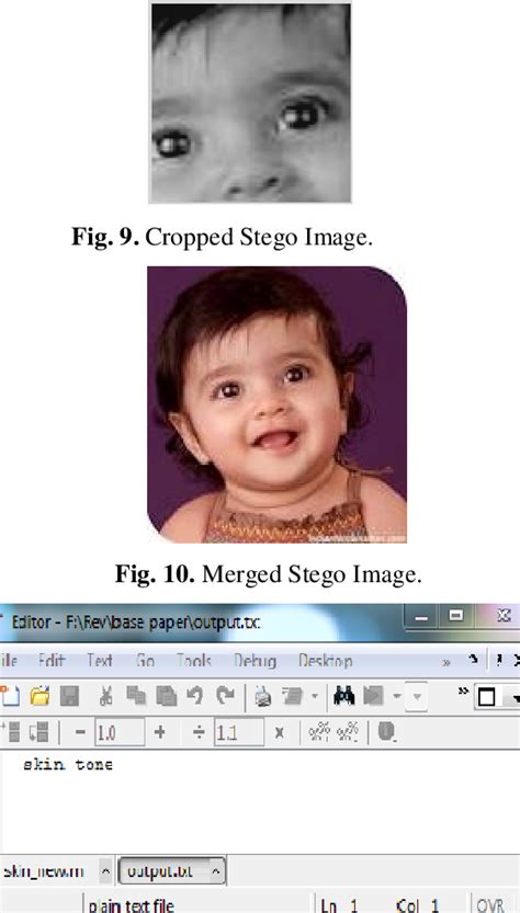 figure 10 from a secure skin tone based steganography using double
