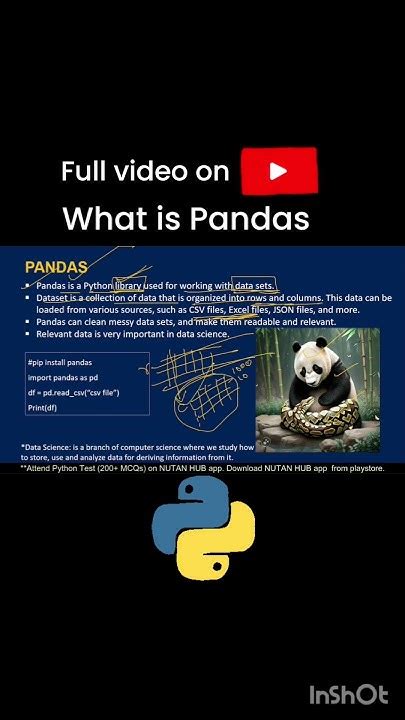 Python Pythonprogramming Python3 Pythonforbeginners Pythontutorial Youtube