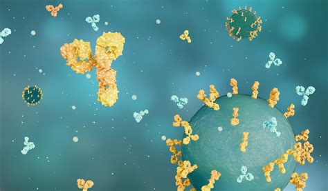 Soft Flow Ltd Linkedin