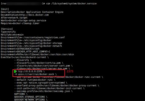 portainer issue in creating endpoint with docker option docker api