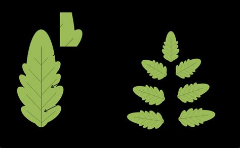 Schematic Representation Of Simple And Compound Leaves Leaves Are