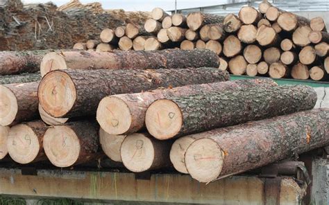 Лес Кругляк пиловочник купить в Москве: низкие цена на строевые бревна ...