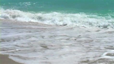 Relaxing Ocean Sounds w Seagulls - YouTube