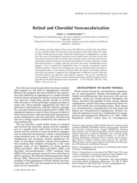 Pdf Retinal And Choroidal Neovascularization Dokumentips