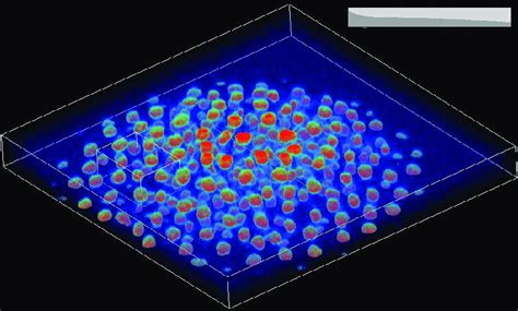The Original Noisy Data In Volume Rendering Representation The Download Scientific Diagram