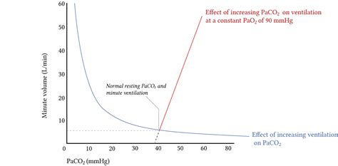 Discover The SECRET Of Alveolar & Arterial PCO2 Correlation