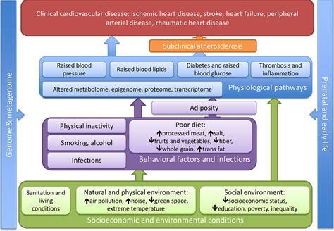 Uncover All Risk Factors Early To Prevent Cardiovascular