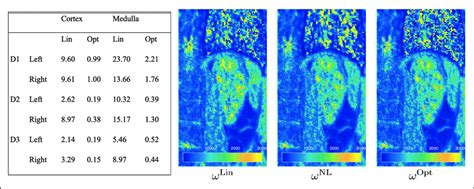 Displaying Results Of The Nonlinear Linear And The Optimized