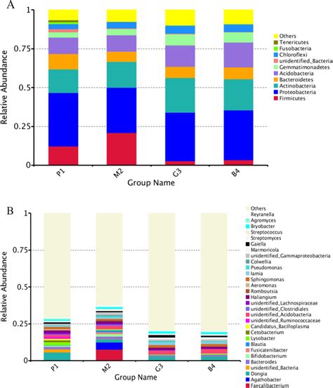 Relative Abundance Of Bacterial At Phylum And Genus Levels Of P1 M2 Download Scientific