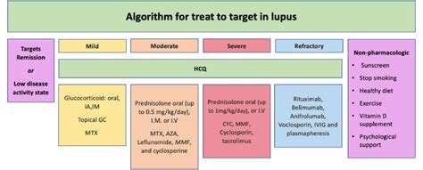 algorithm for the outlines of treat to target in lupus patients