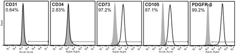 Surface Marker Characterization Of Cell Population Flow Cytometry Download Scientific Diagram