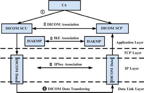 The Data Flow Of Tcp Ipv Based Dicom C Store Communication With Download Scientific Diagram
