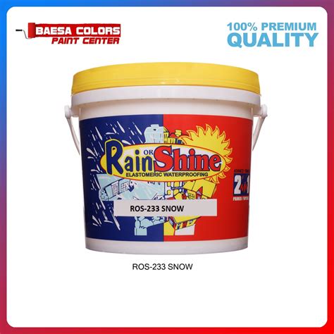 Rain or Shine 233 Snow Elastomeric Paint – BAESA COLORS PAINT CENTER