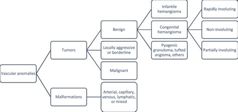 Abbreviated International Society For The Study Of Vascular Anomalies