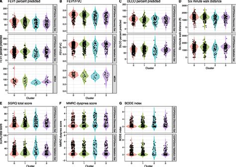 Clinical Measures Of Disease Severity And Symptoms Including A Fev1 Download Scientific