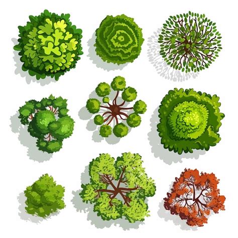 A Collection Of Different Types Of Green Vegetables Premium AI Generated Vector