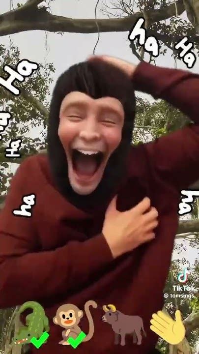 Сигма юнайтед охайо Youtube