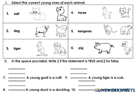 Post Synchronous Q3 W2 Science Worksheet Live Worksheets