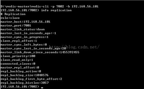 亲密接触redis 第二天（redis Sentinel） Csdn博客