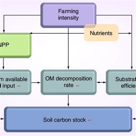 Pdf Low Input Farming A Way Towards Climate Friendly Agriculture